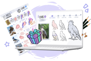 ZEPHY | Cours gratuit de dessin pour débutants - Bases du dessin