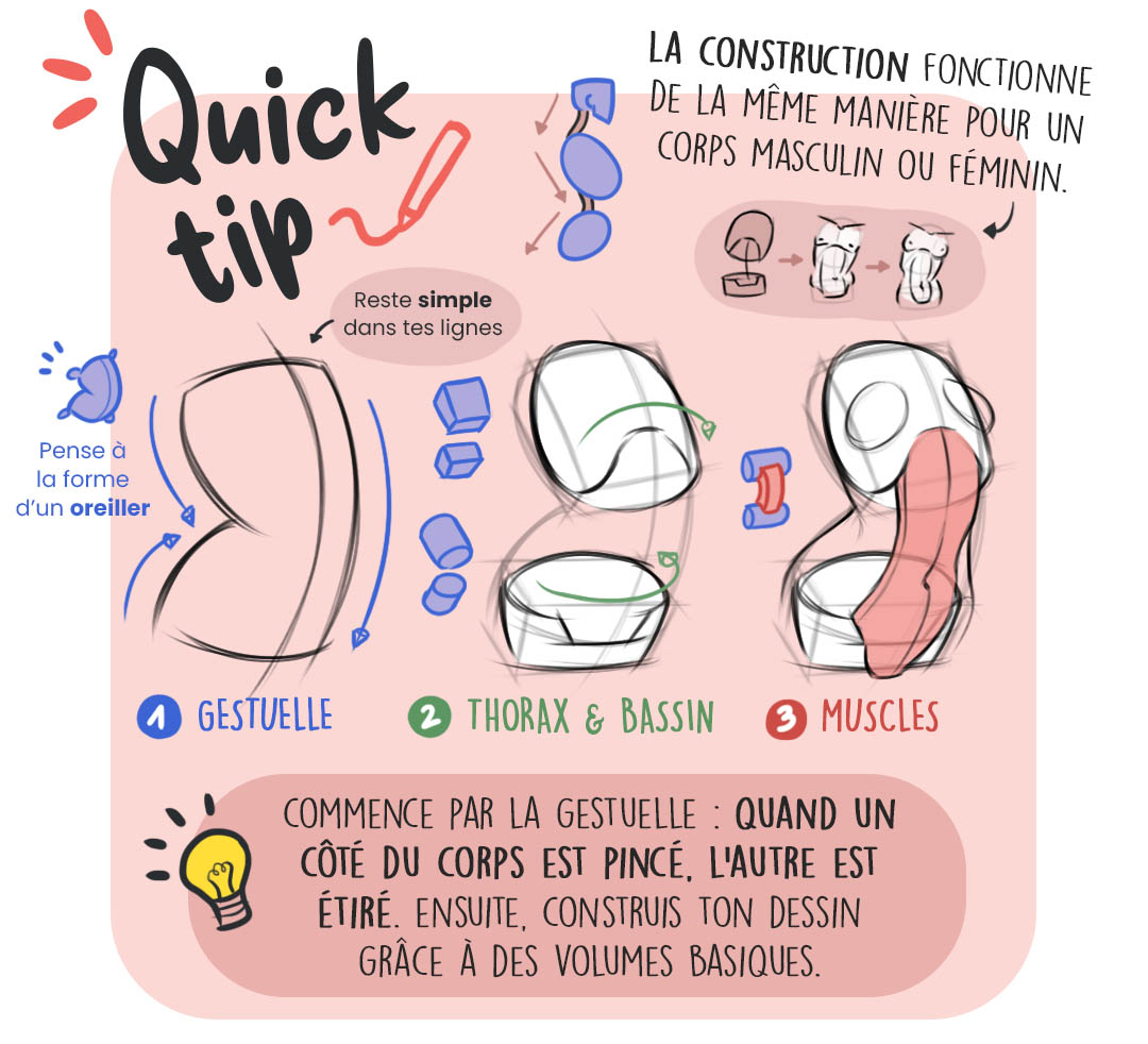 ZEPHY | Dessiner les Proportions du Corps Humain : Techniques