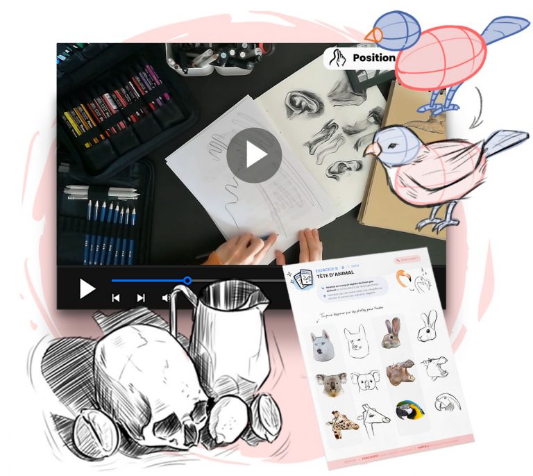 Le programme complet pour apprendre à dessiner - Zephy