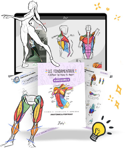 Cours de dessin pour apprendre à dessiner les bases - Zephy