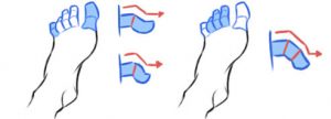 ZEPHY | Comment dessiner des pieds ? Guide complet