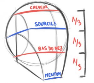 ZEPHY | Les Bases du Portrait : la Structure de la Tête